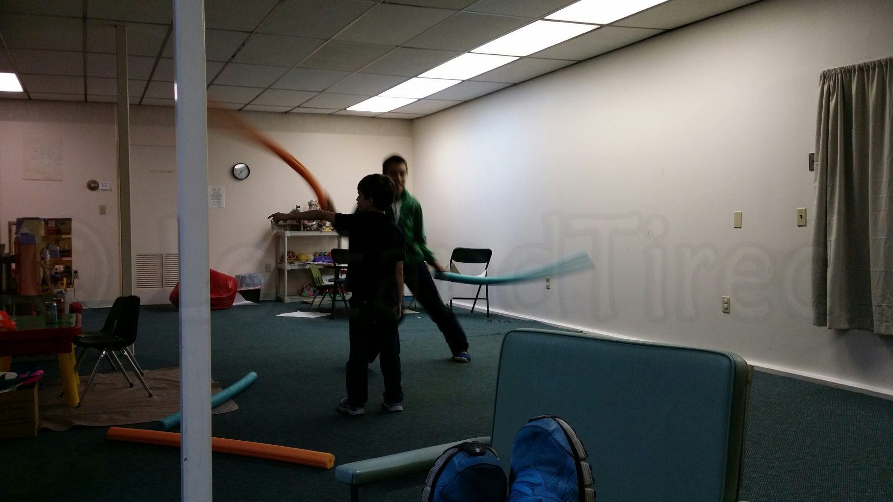 Ultimate Ferret Playground for Under $50