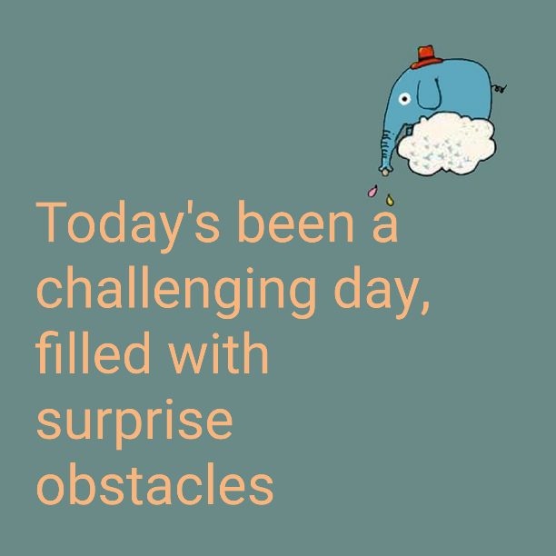 Today's been a challenging day, filled with surprise obstacles - The ...