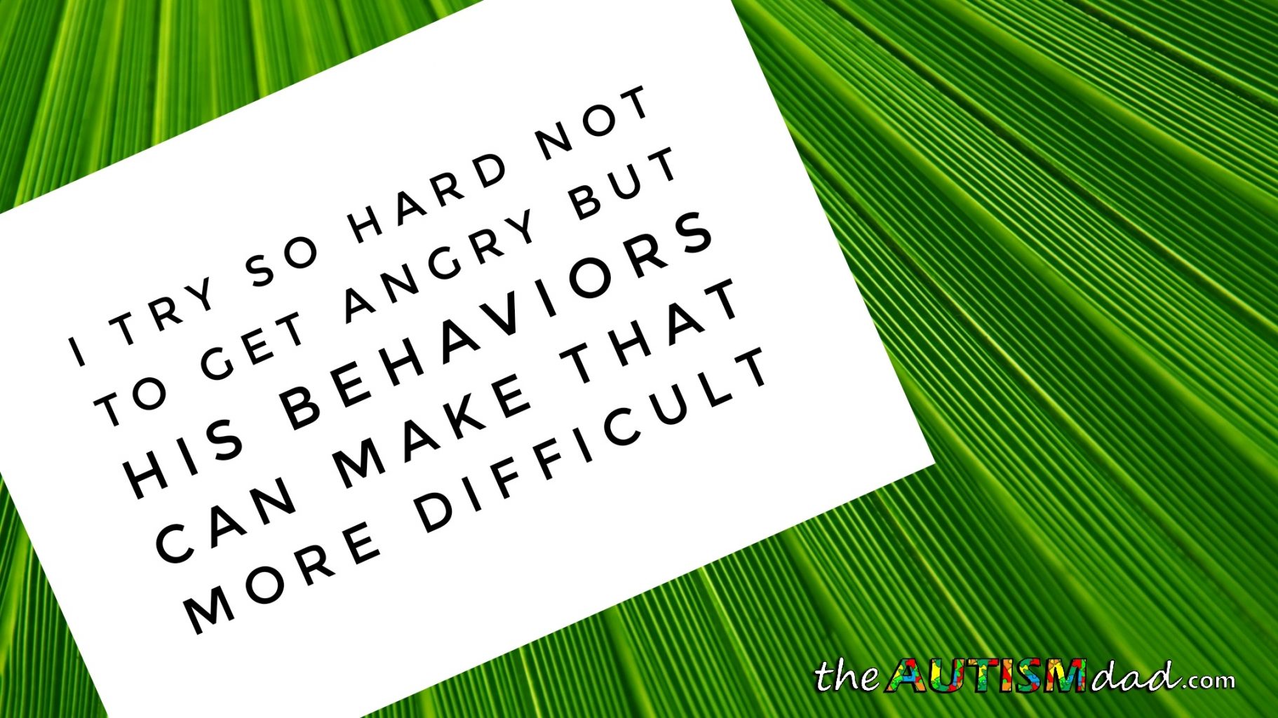 I try so hard not to get angry but his behaviors can make that more ...