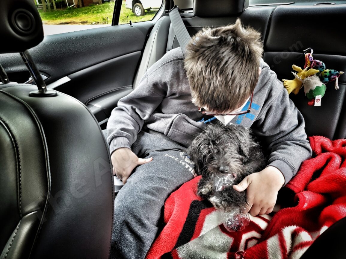 Someone went to the vet today - The Autism Dad