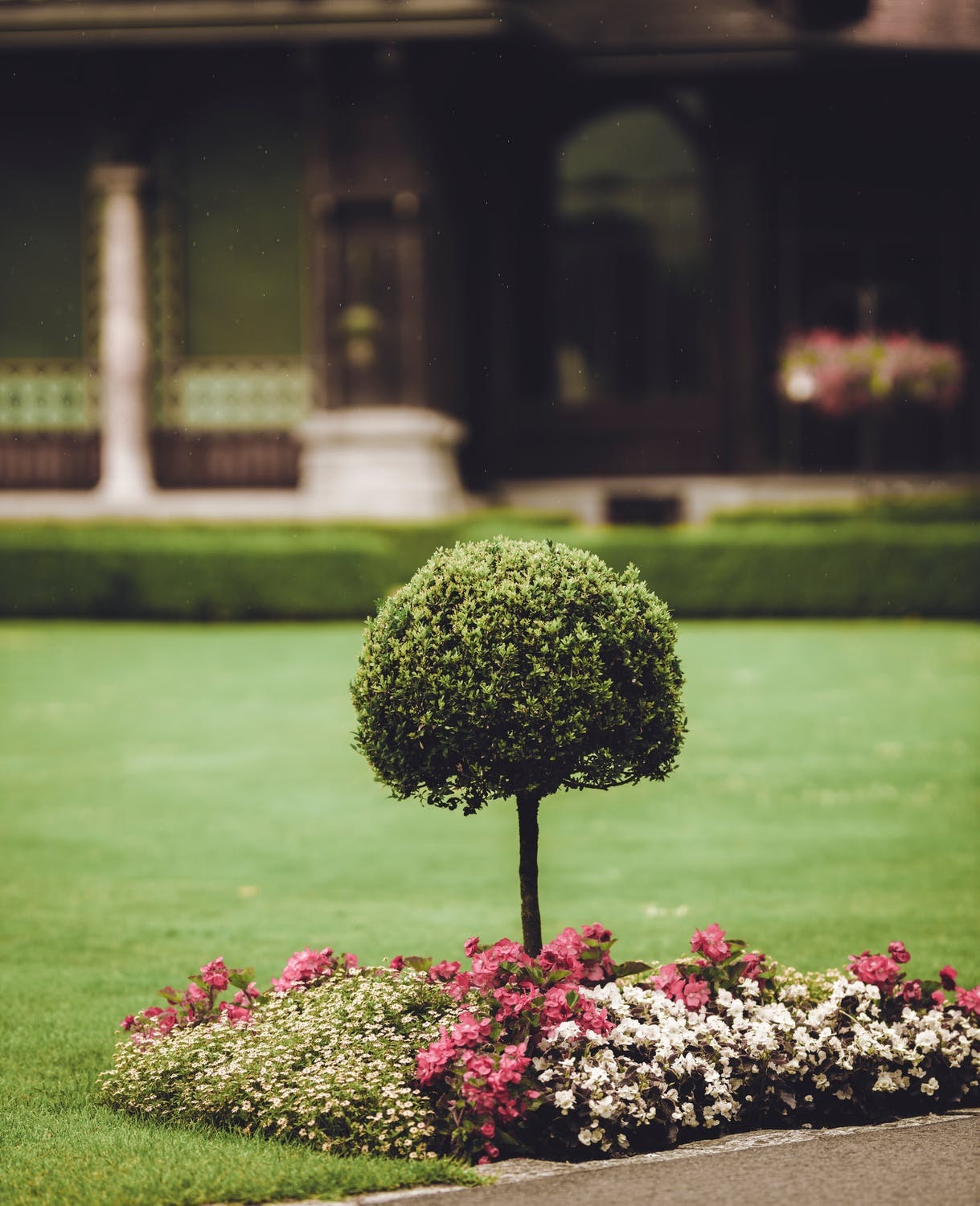Creating An Autism Friendly Garden creating-an-autism-friendly-garden